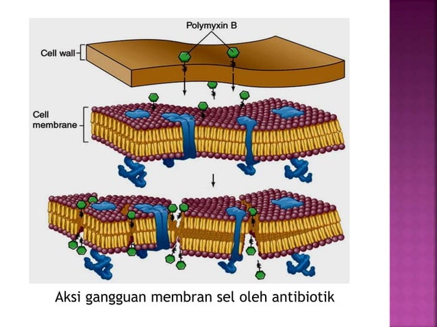 Pengendalian pertumbuhan mikroba.pptx