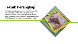 Pengendalian vektor | PPTX