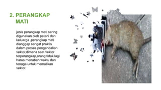 Pengendalian vektor | PPTX