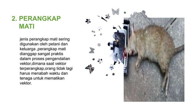 Pengendalian Vektor Ppt