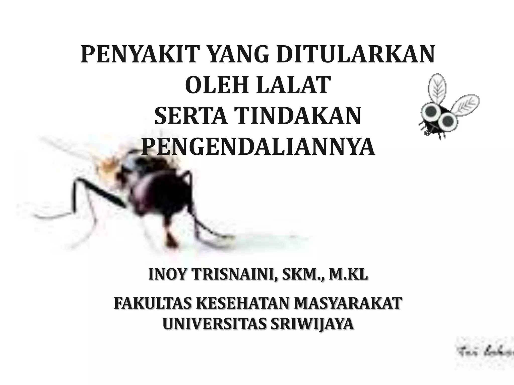 Pengendalian Vektor Lalat | PPTX