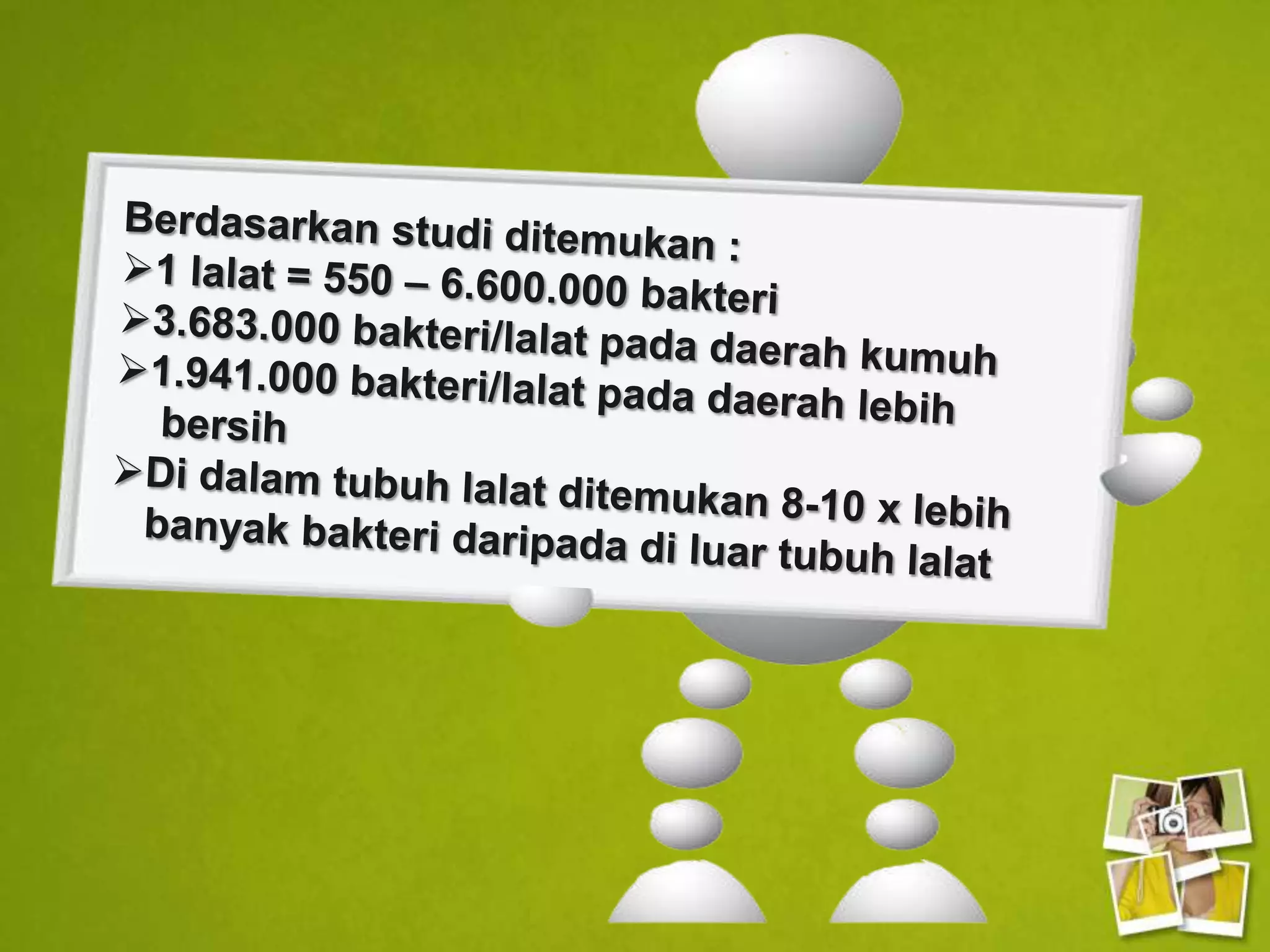 Pengendalian Vektor Lalat | PPTX
