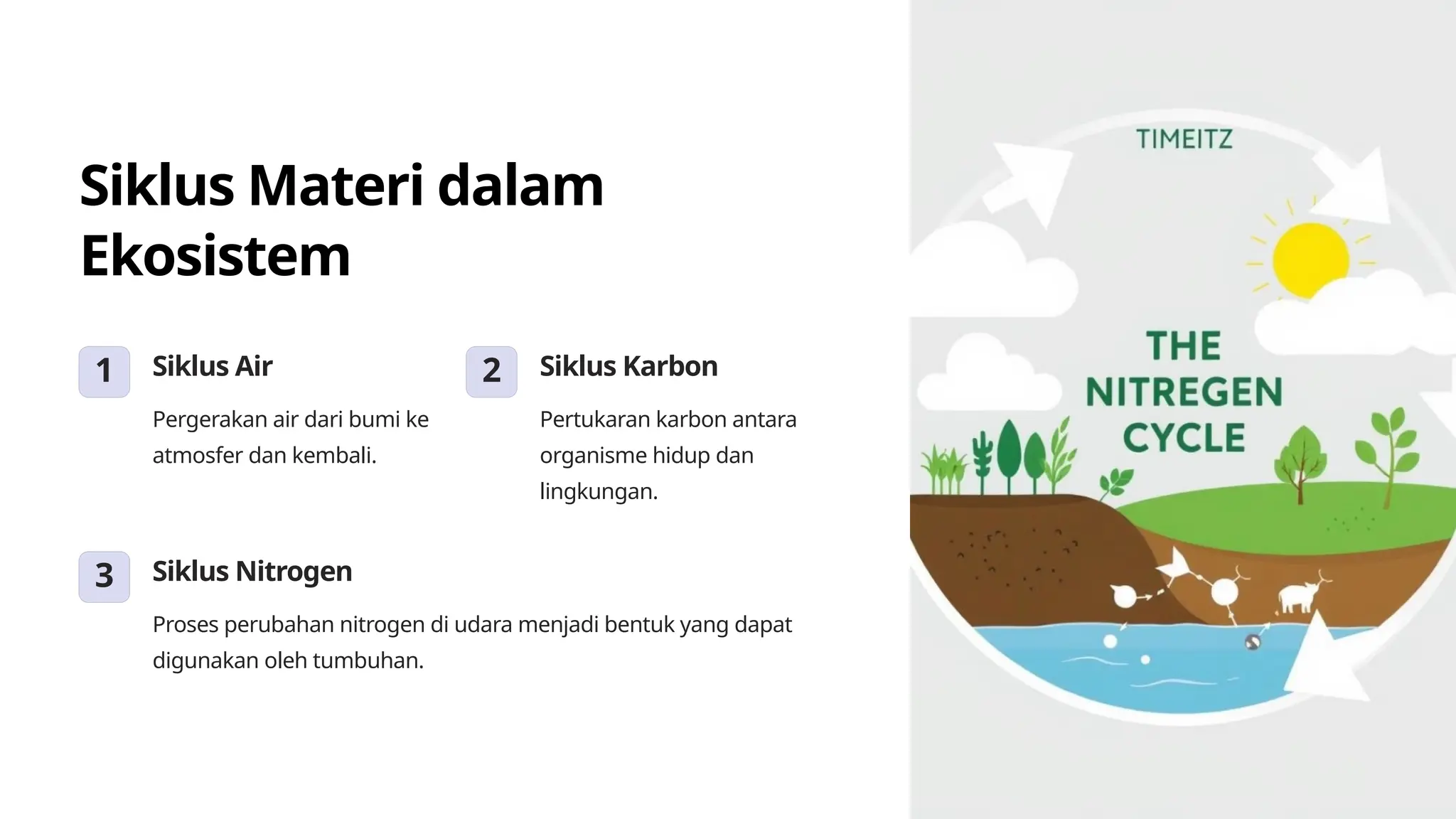 Pengertian-Ekosistem dan interaksinya serta peranan dari komponen ...