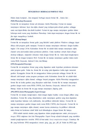 Pengertian berbagai format | PDF