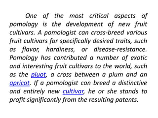 Pengertian buah (3) | PPTX