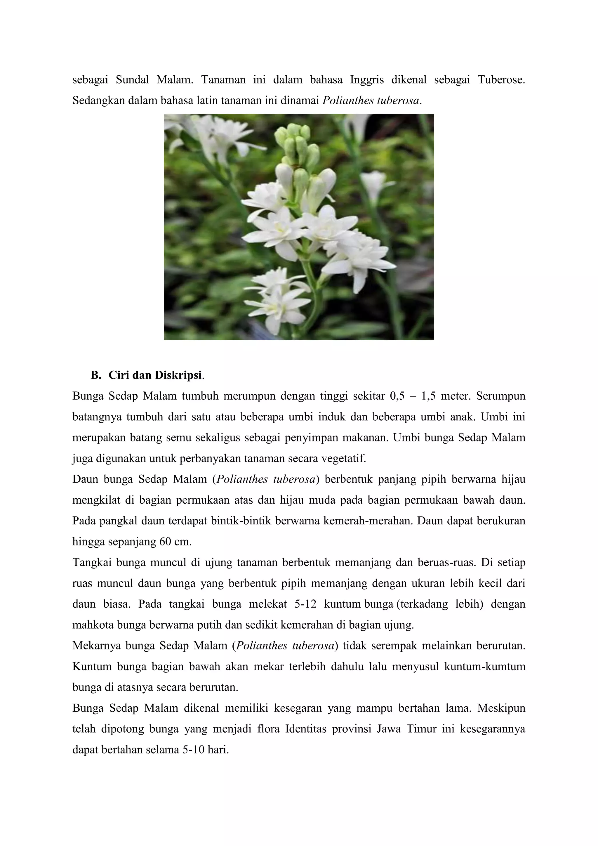 Pengertian bunga sedap malam | DOCX