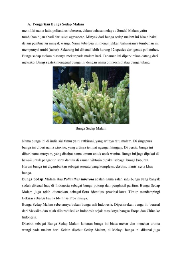 Pengertian bunga sedap malam | PDF