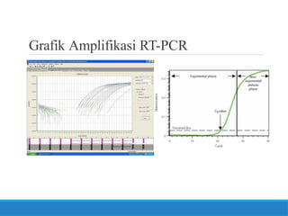 Pengertian dan Prinsip Polymerase Chain Reaction | PPTX