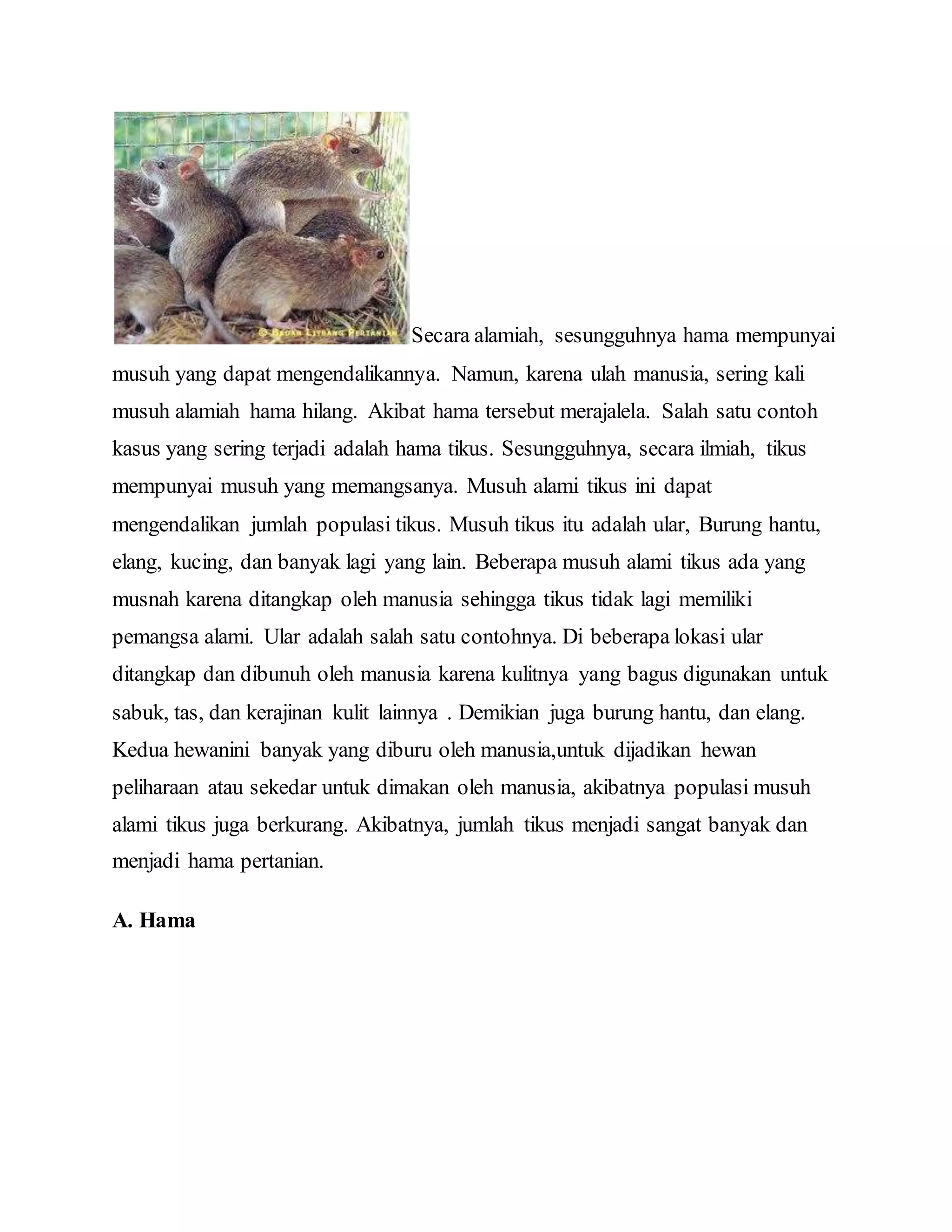 Pengertian ekologi hewan | PDF