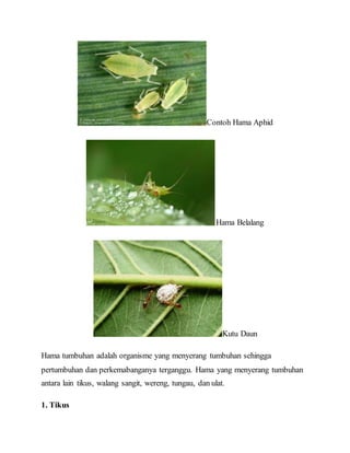 Pengertian ekologi hewan | DOCX