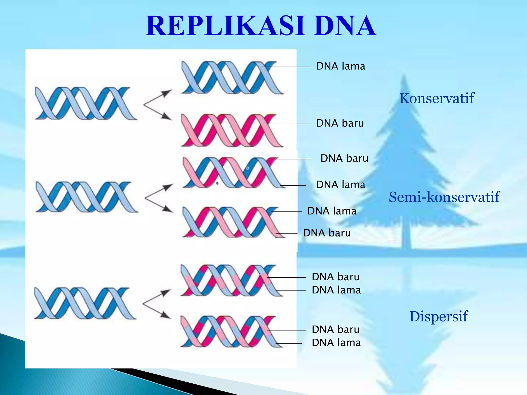 Pengertian gen, dna & rna | PPT