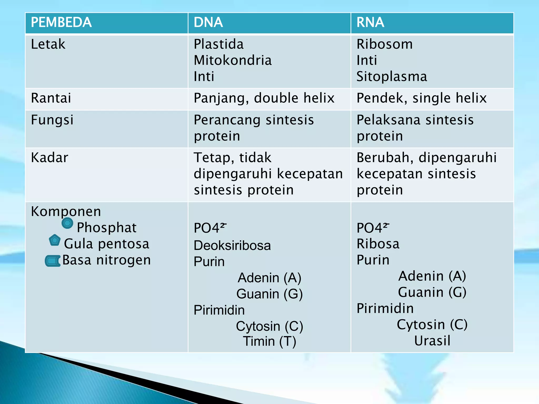 Pengertian gen, dna & rna | PPT