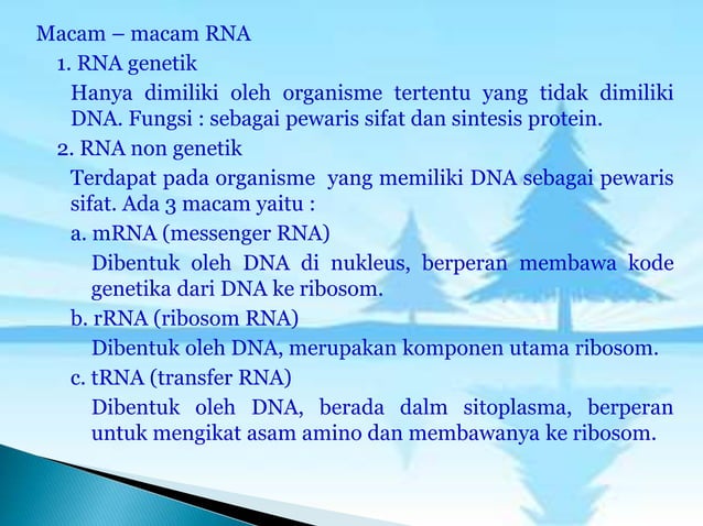 Pengertian gen, dna & rna | PPT