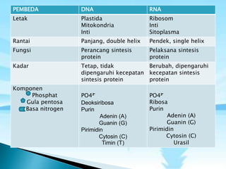 Pengertian gen, dna & rna | PPT
