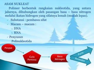 Pengertian gen, dna & rna | PPT