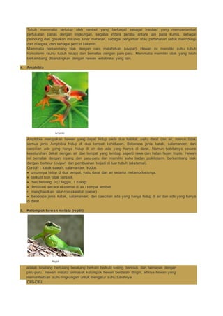 Pengertian invertebrata | PDF