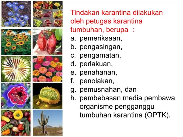 Pengertian karantina tumbuhan | PDF