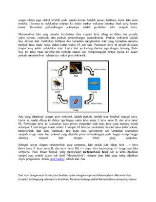 Pengertian metamorphosis | DOCX