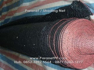 Ulasan Mengenai "Paranet" | PPT