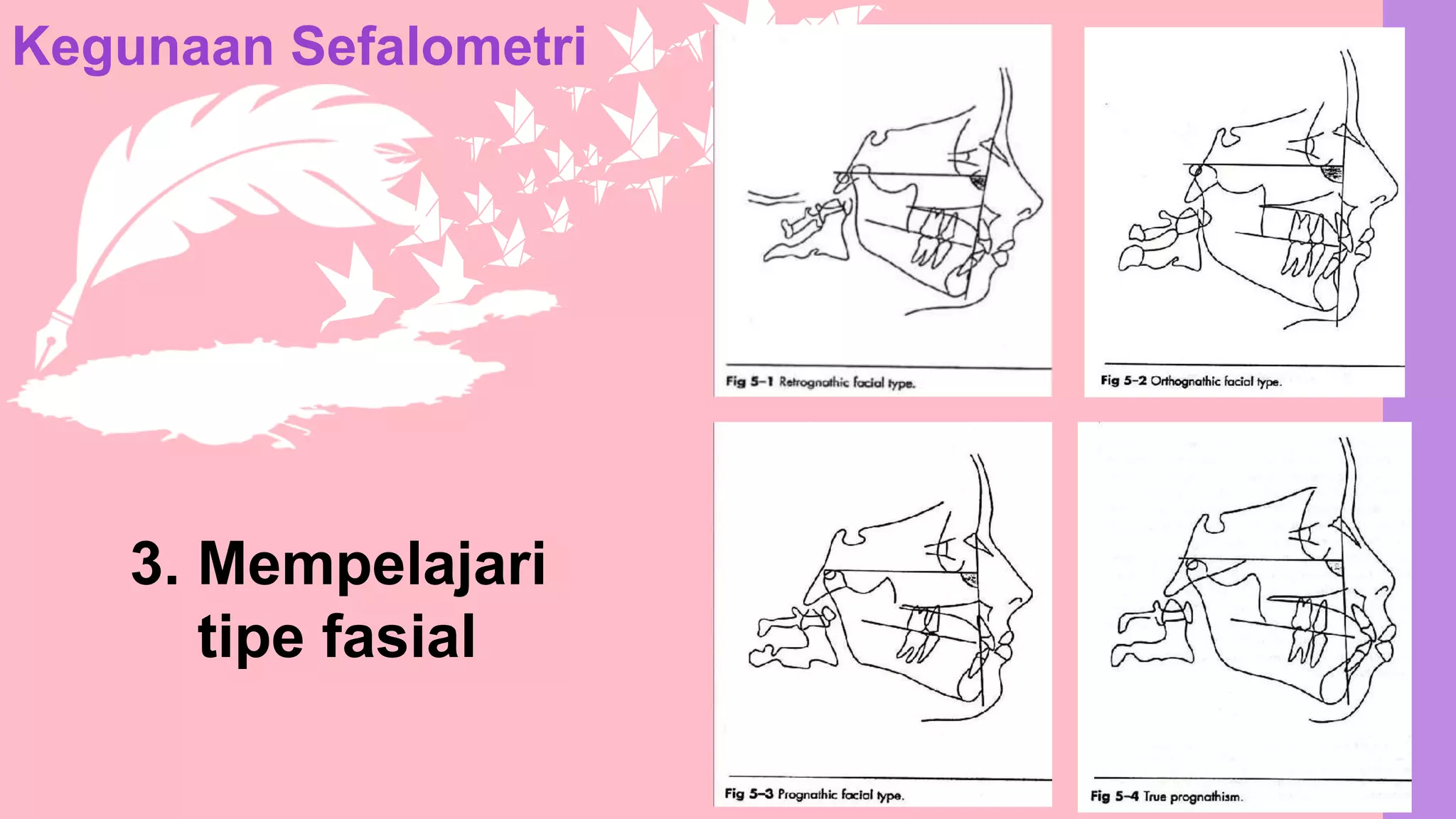 Pengertian Sefalometri .pptx