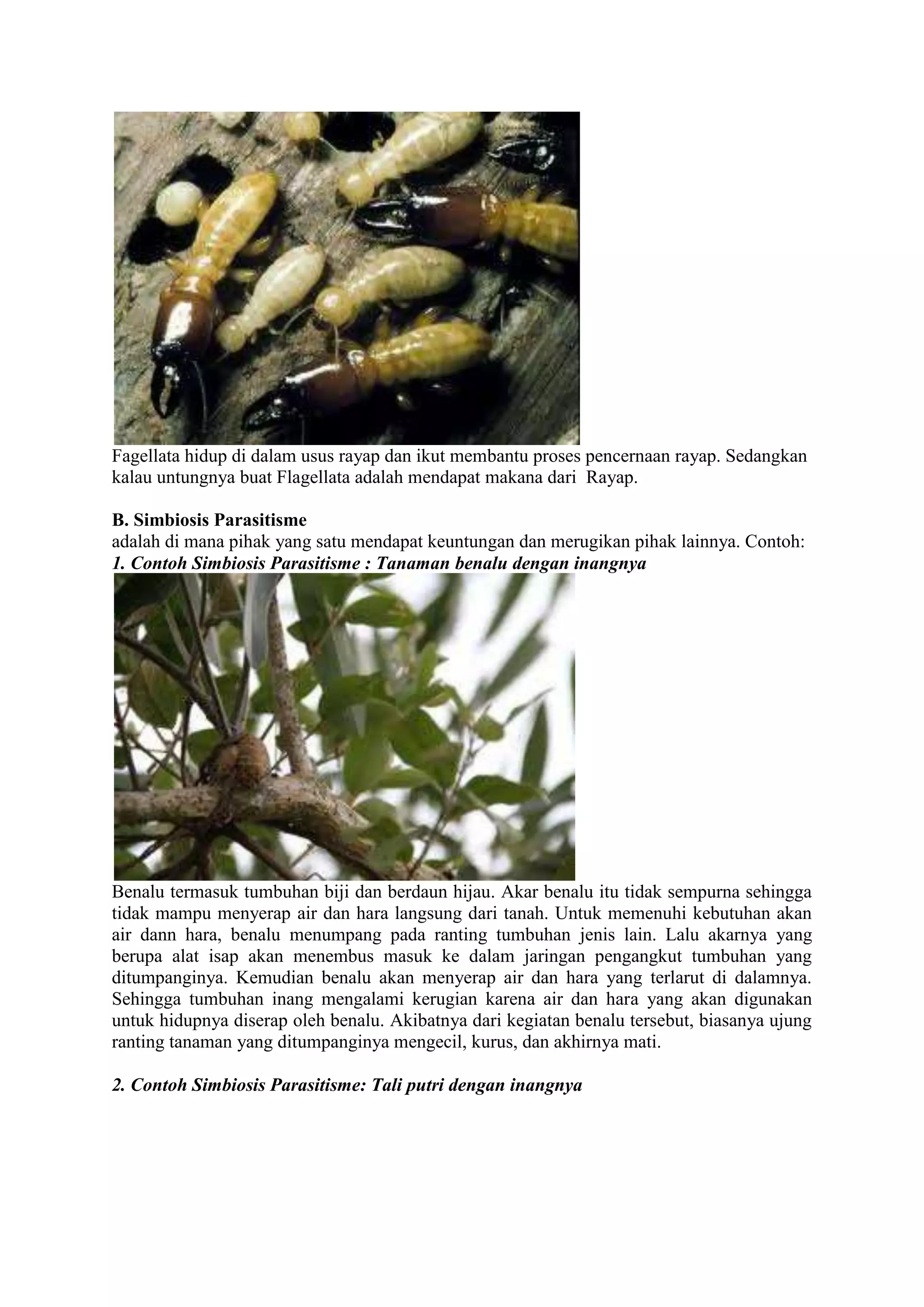 Pengertian simbiosis | DOCX