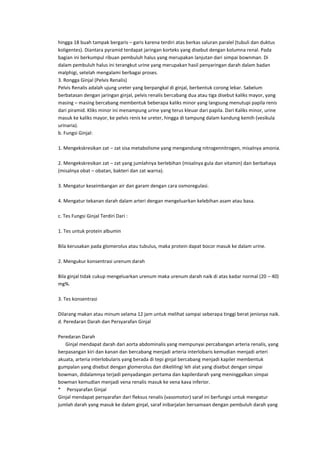 Pengertian sistem urinaria | DOCX