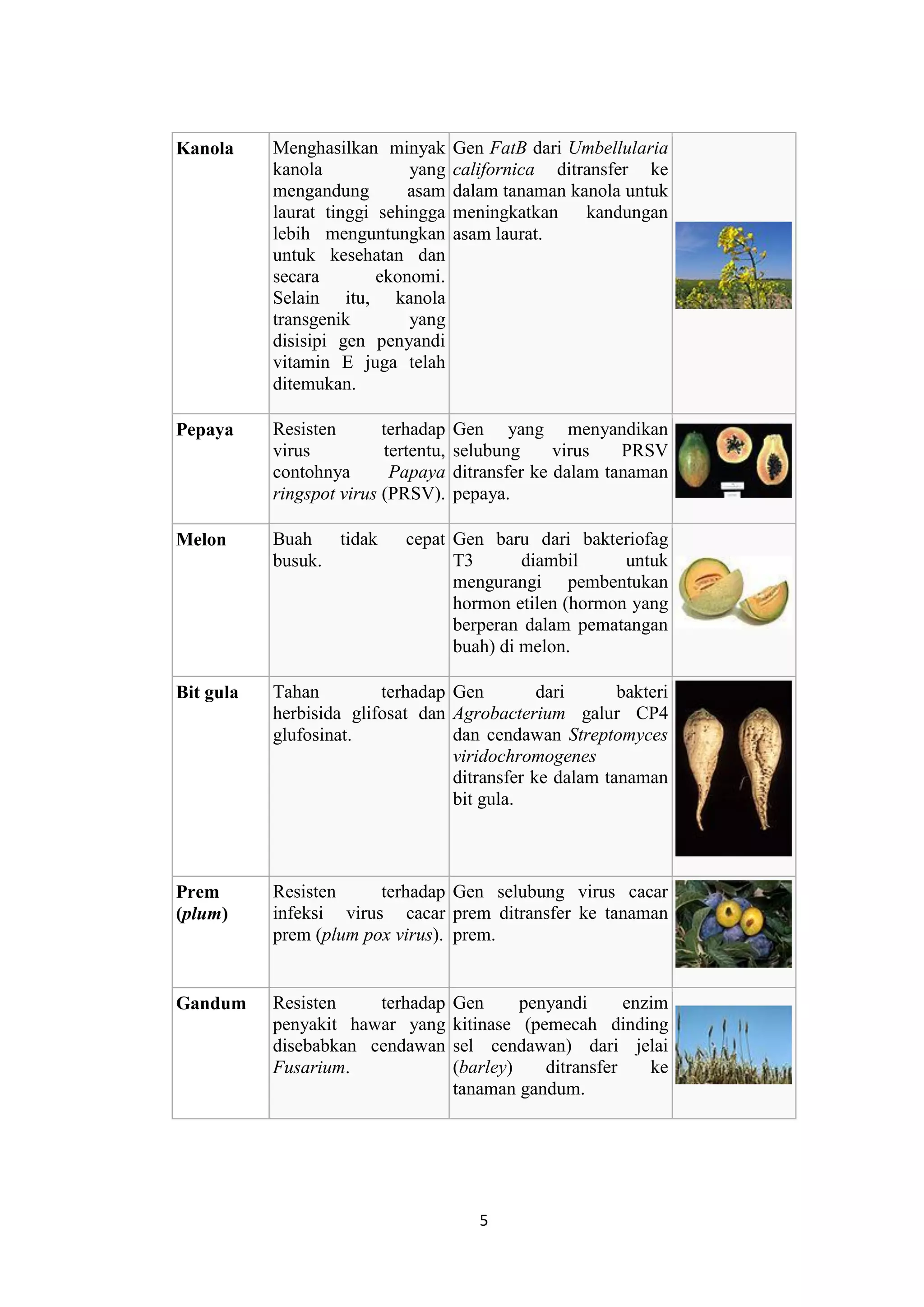 Pengertian Tanaman Transgenik Lengkap | PDF