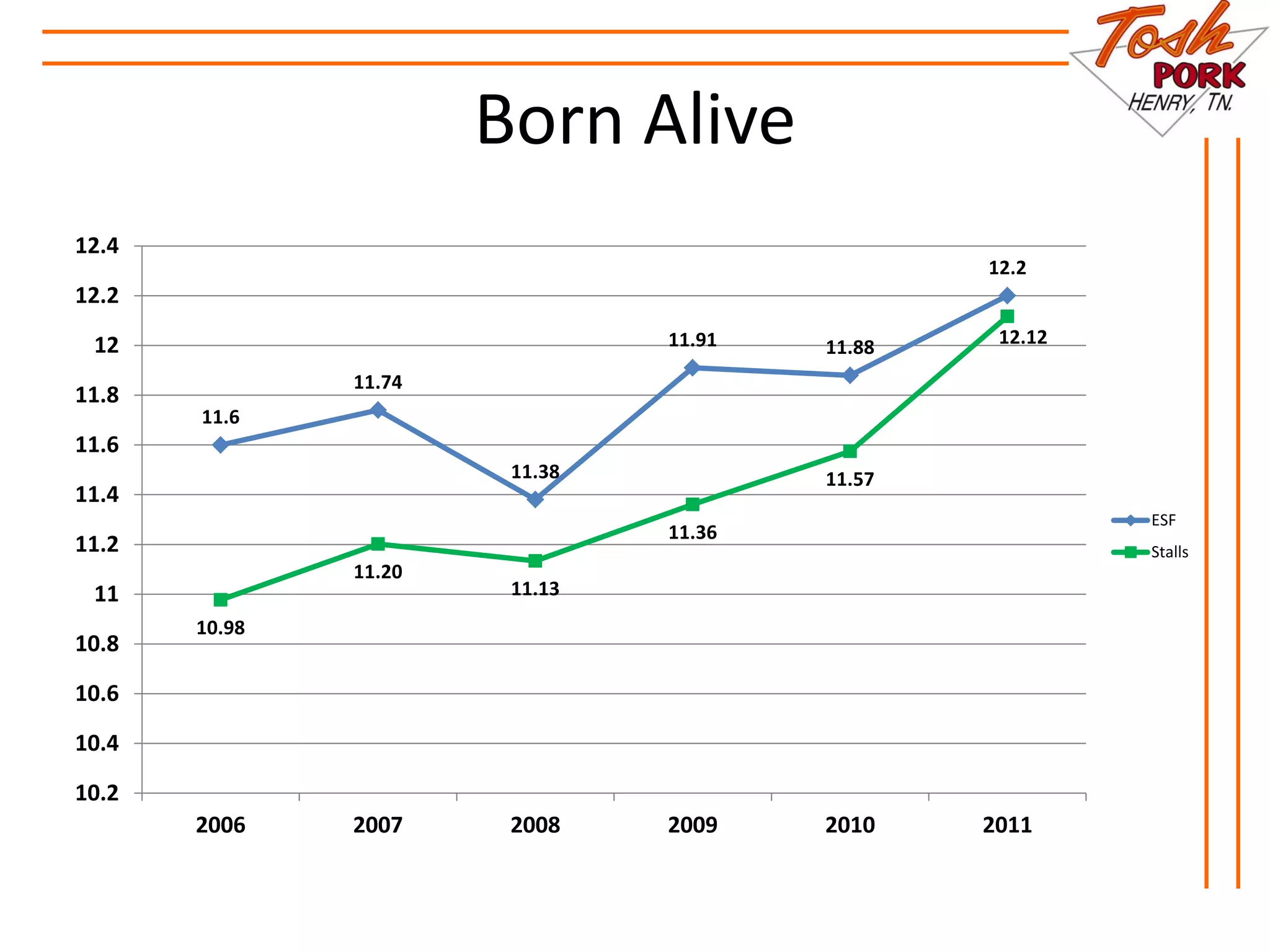 Pen Gestation Vs. Stalls | PPT