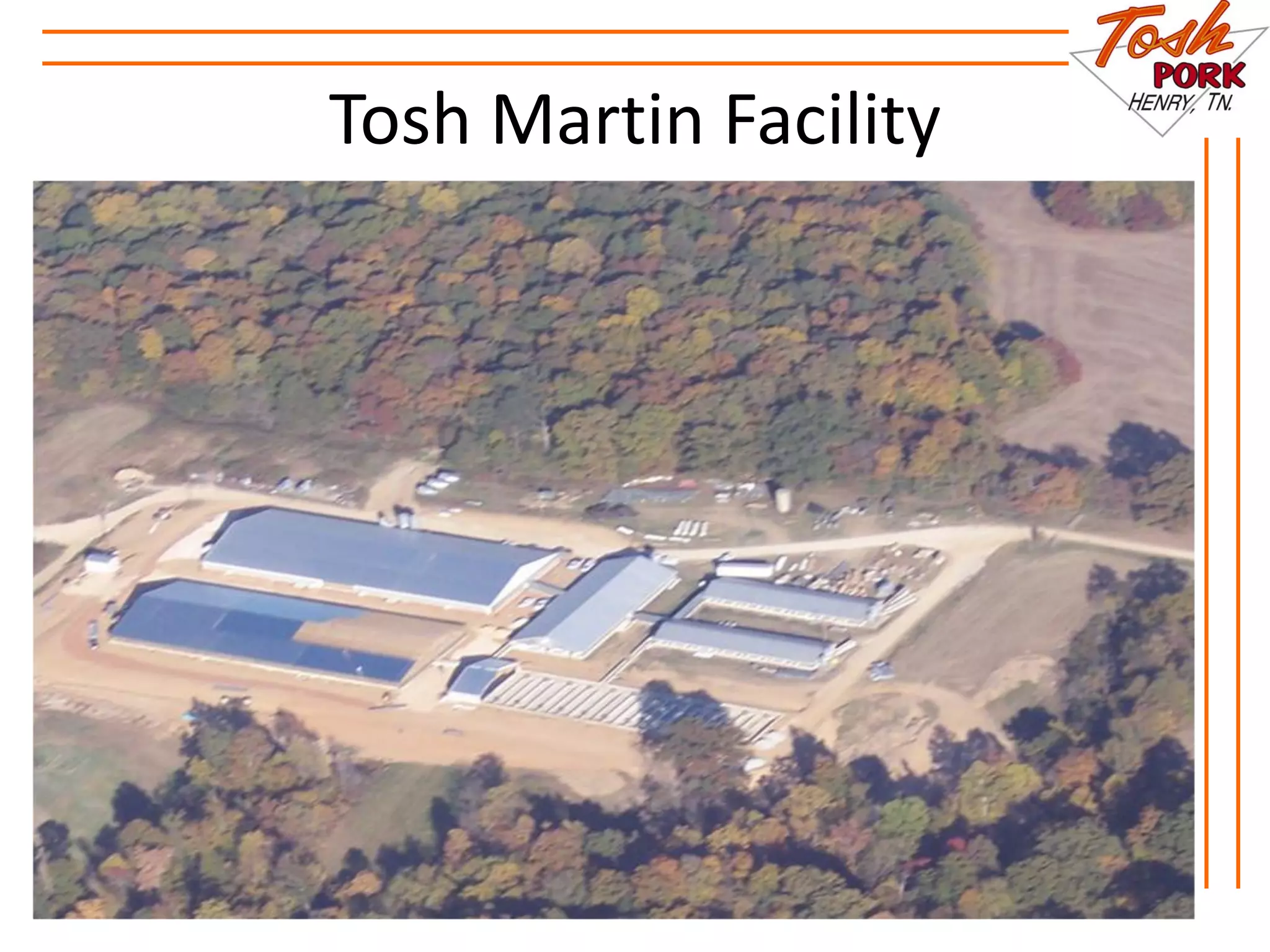 Pen Gestation Vs. Stalls | PPT