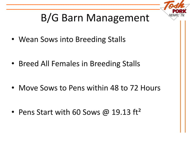 Pen Gestation Vs. Stalls | PPT