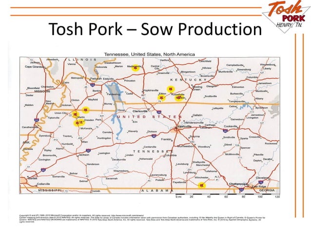 Pen Gestation Vs. Stalls | PPT