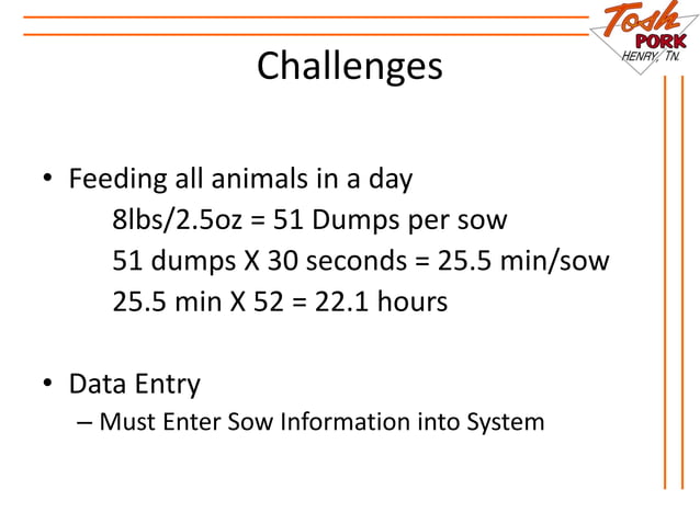 Pen Gestation Vs. Stalls | PPT