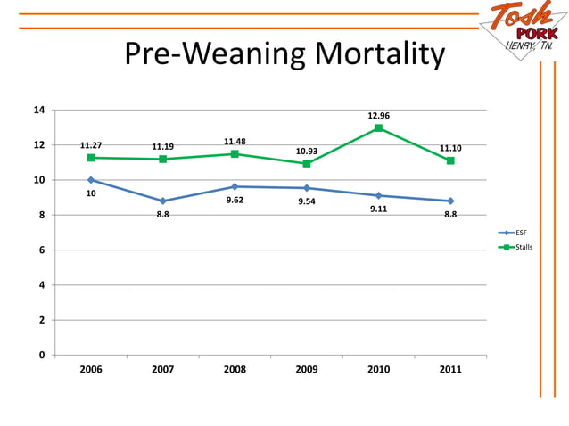 Pen Gestation Vs. Stalls | PPT