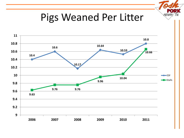 Pen Gestation Vs. Stalls | PPT