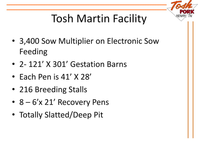 Pen Gestation Vs. Stalls | PPT