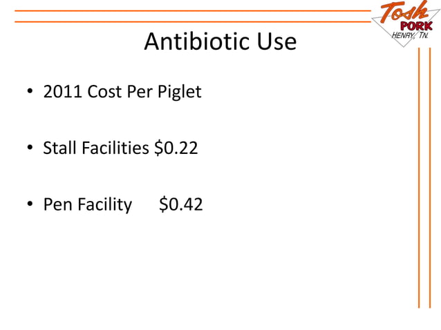 Pen Gestation Vs. Stalls | PPT