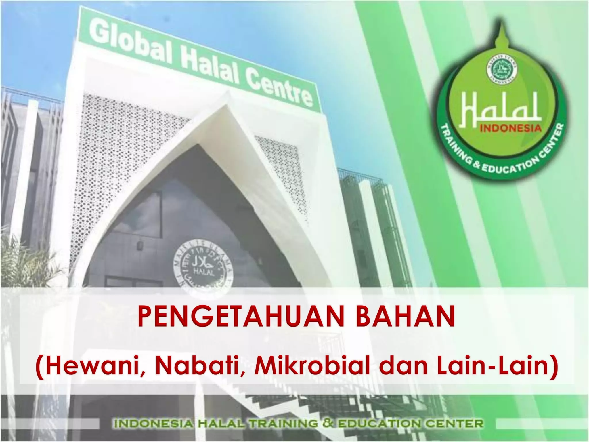 Pengetahuan Bahan -Halal.pdf