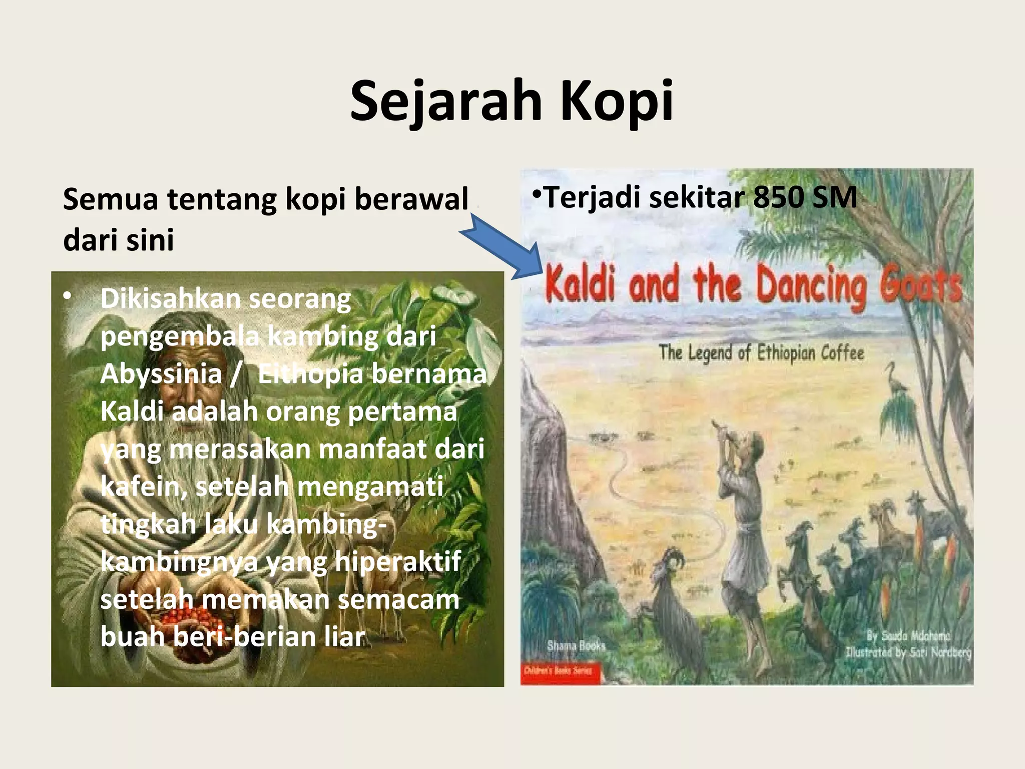 pengetahuan kopi.pdf