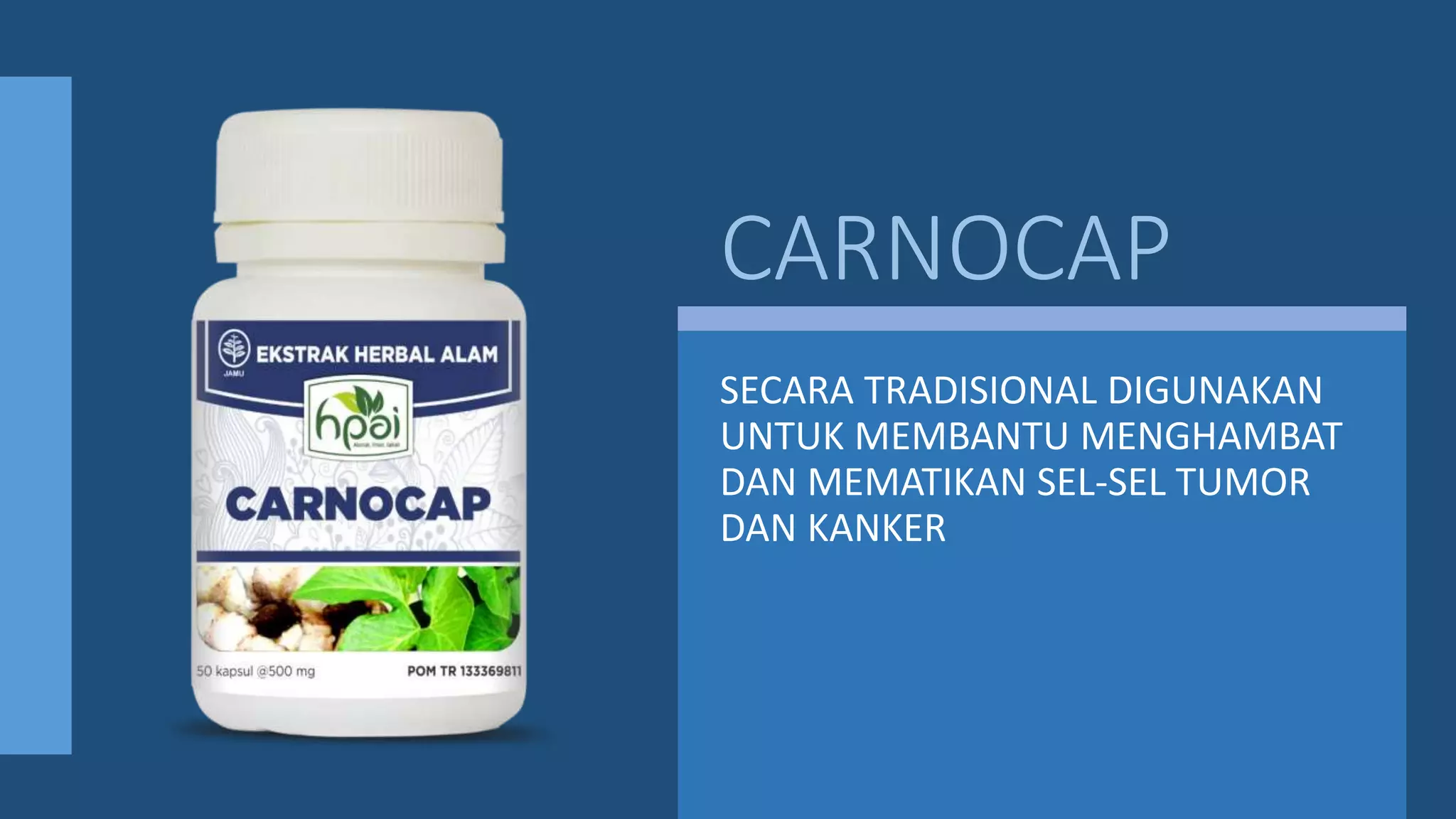Pengetahuan produk carnocap herbal obat tumor kanker hpai | PPTX