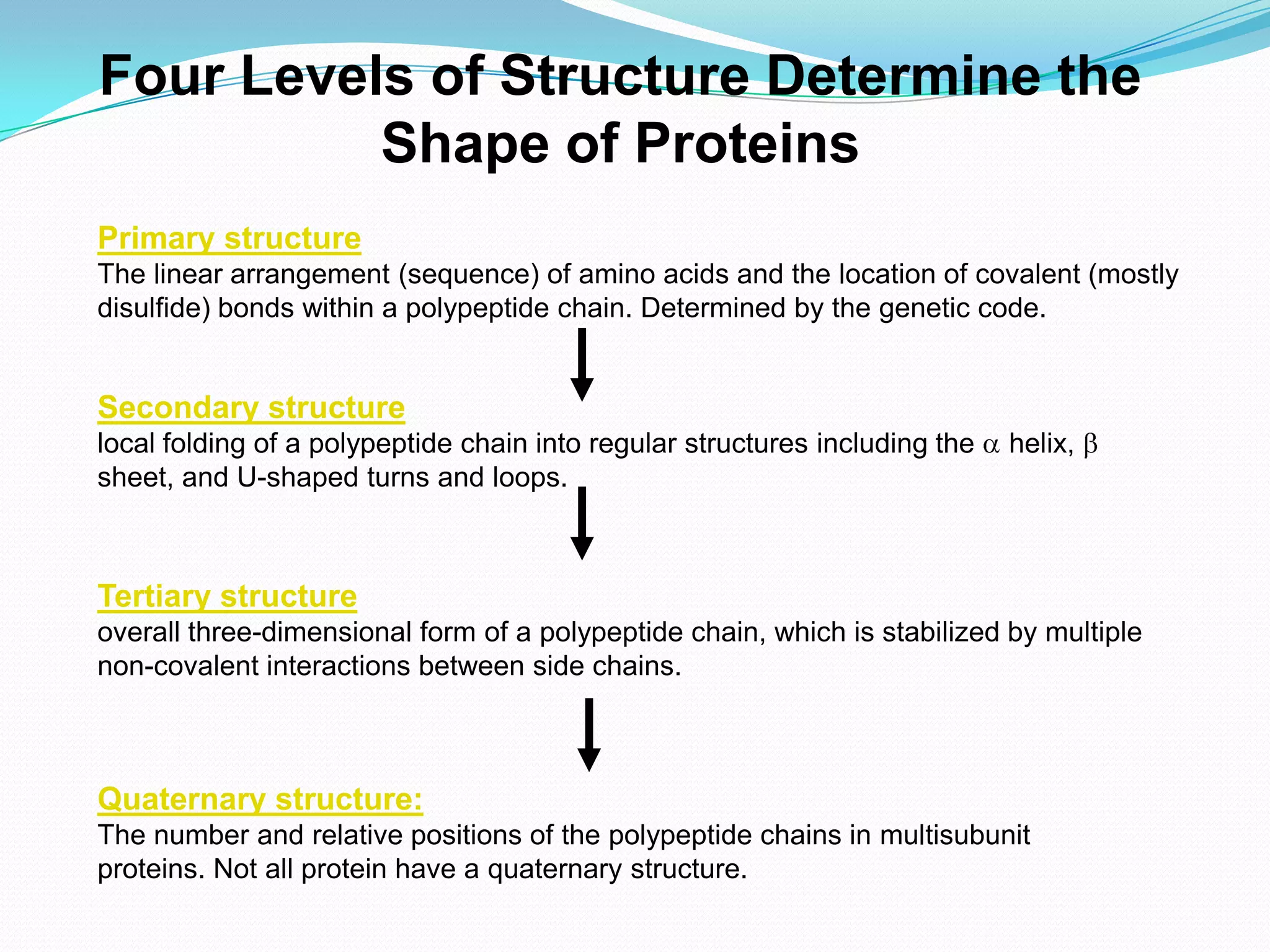 Pengetahuan struktur, bentuk dan sintesa protein | PPTX