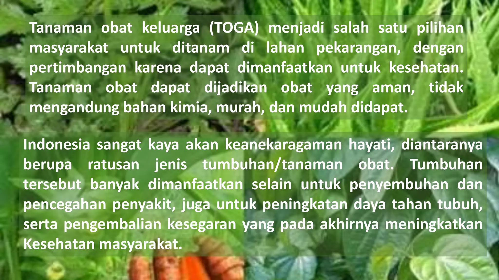 Pengetahuan tentang toga | PPTX
