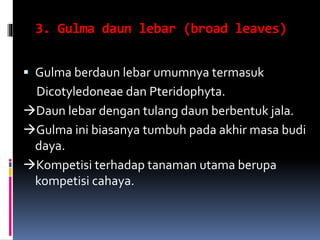 Penggolongan dan identifikasi gulma.pptx