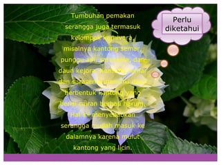 Penggolongan hewan | PPT