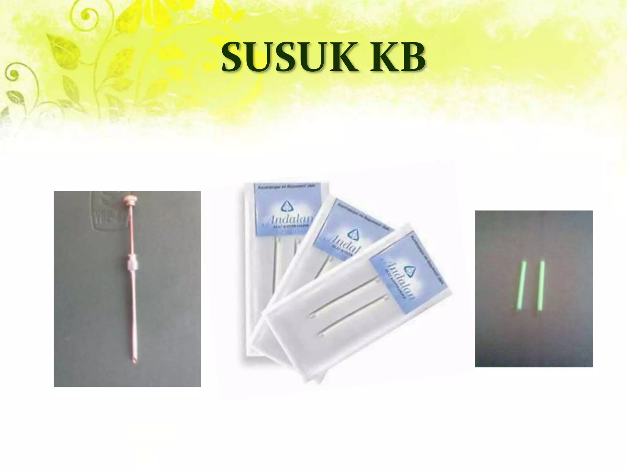 Penggunaan Alat Kontrasepsi Dalam Program Keluarga Berencana | PPTX