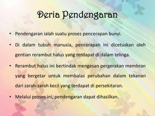 Penggunaan Deria Dalam P&P (WAJ 3107) | PPTX