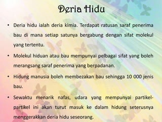 Penggunaan Deria Dalam P&P (WAJ 3107) | PPTX