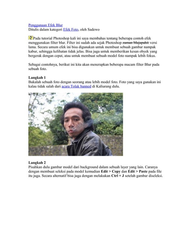 Penggunaan efek blur | PDF
