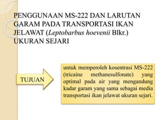 Penggunaan ms-222 dan larutan garam pada transportasi ikan | PPTX