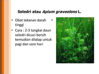 Penggunaan Obat Herbal-Evawati .gfgdfhfgppt | PPT