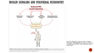 Penggunaan Obat Pada Neuropati dan Foot Ulcer Diabetik.pdf